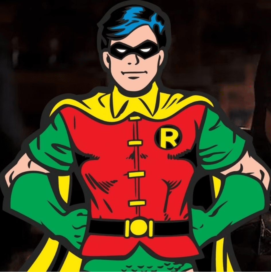Superhero Costumes For Girls Robin